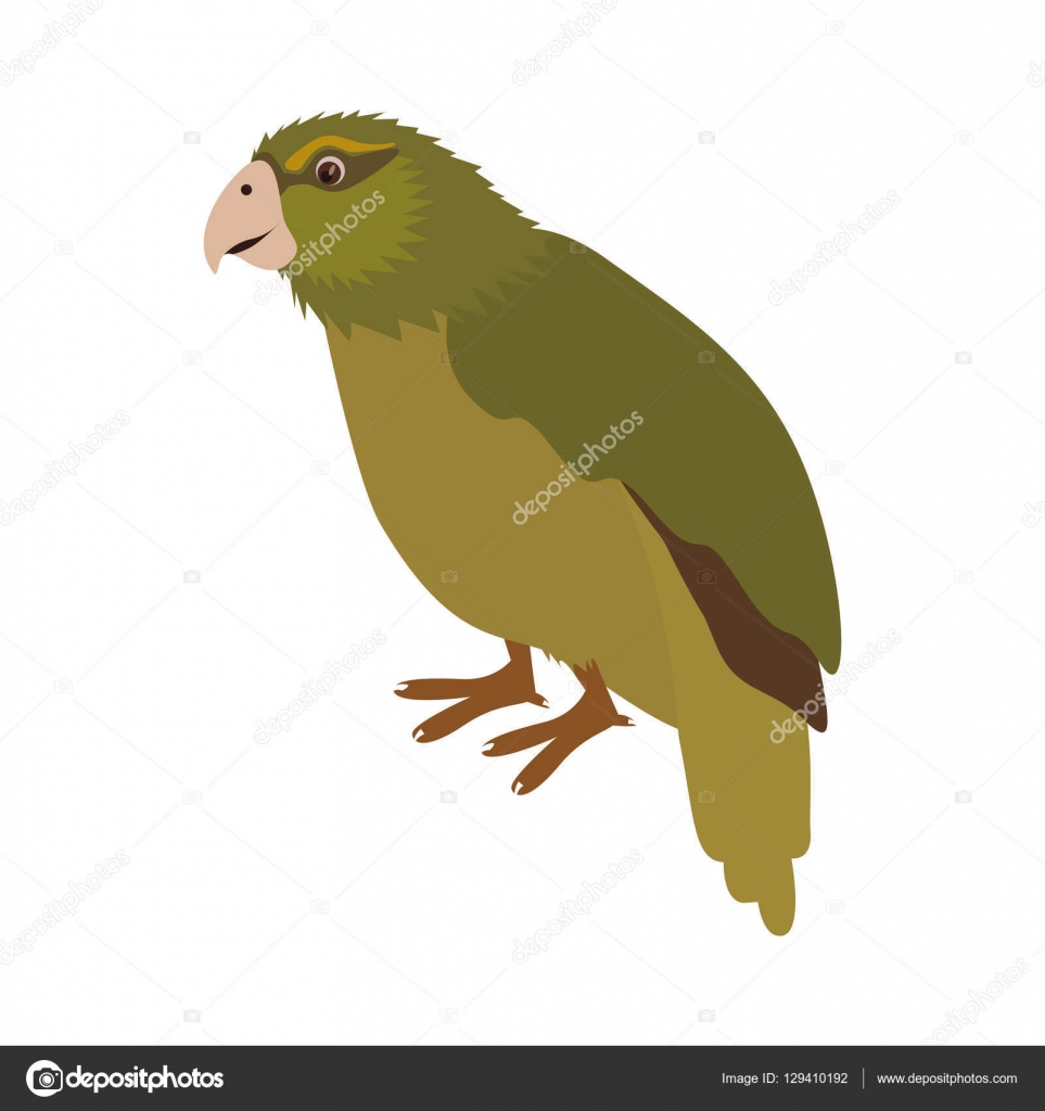 Kakapo Parrot Cute
