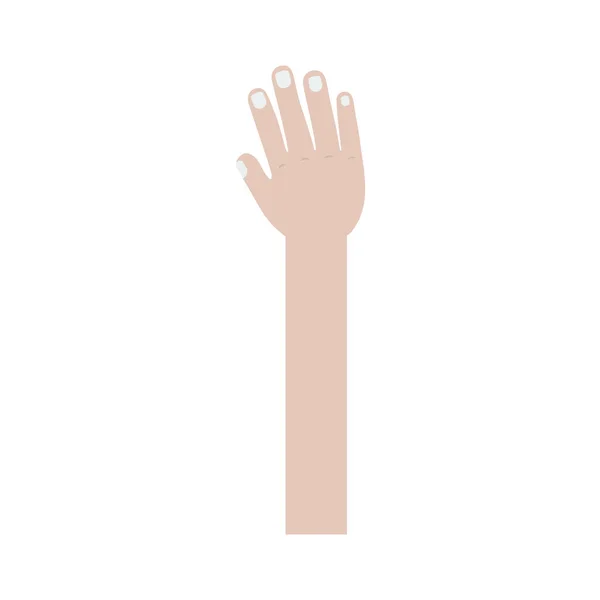 Hand And Arm Clipart