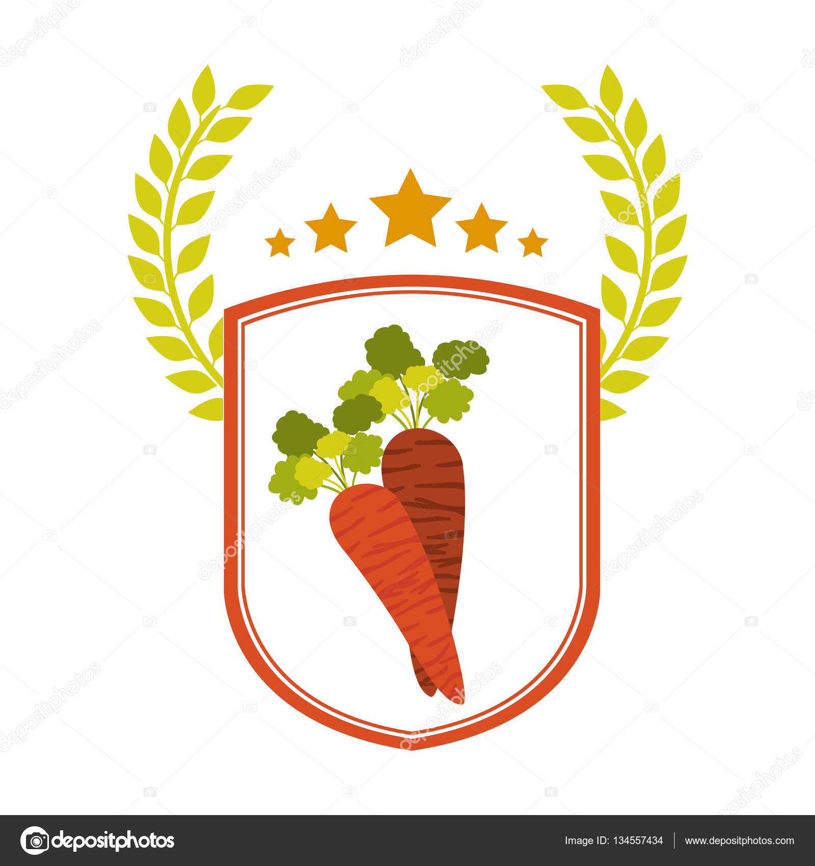 Isolated carrot design Stock Vector Image by ©grgroupstock #134557434