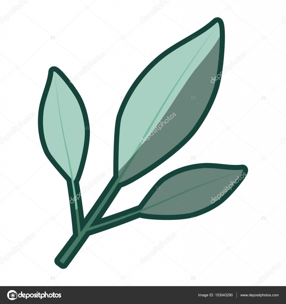 Colorful thick contour of branch with leaves in closeup Stock Vector ...