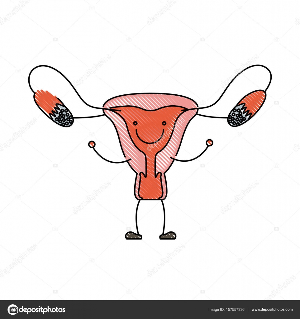 Color Crayon Silhouette Caricature With Happy Face Female Reproductive