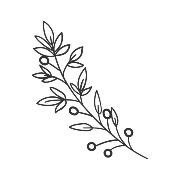 Juniper outline logo Vector Art Stock Images | Depositphotos