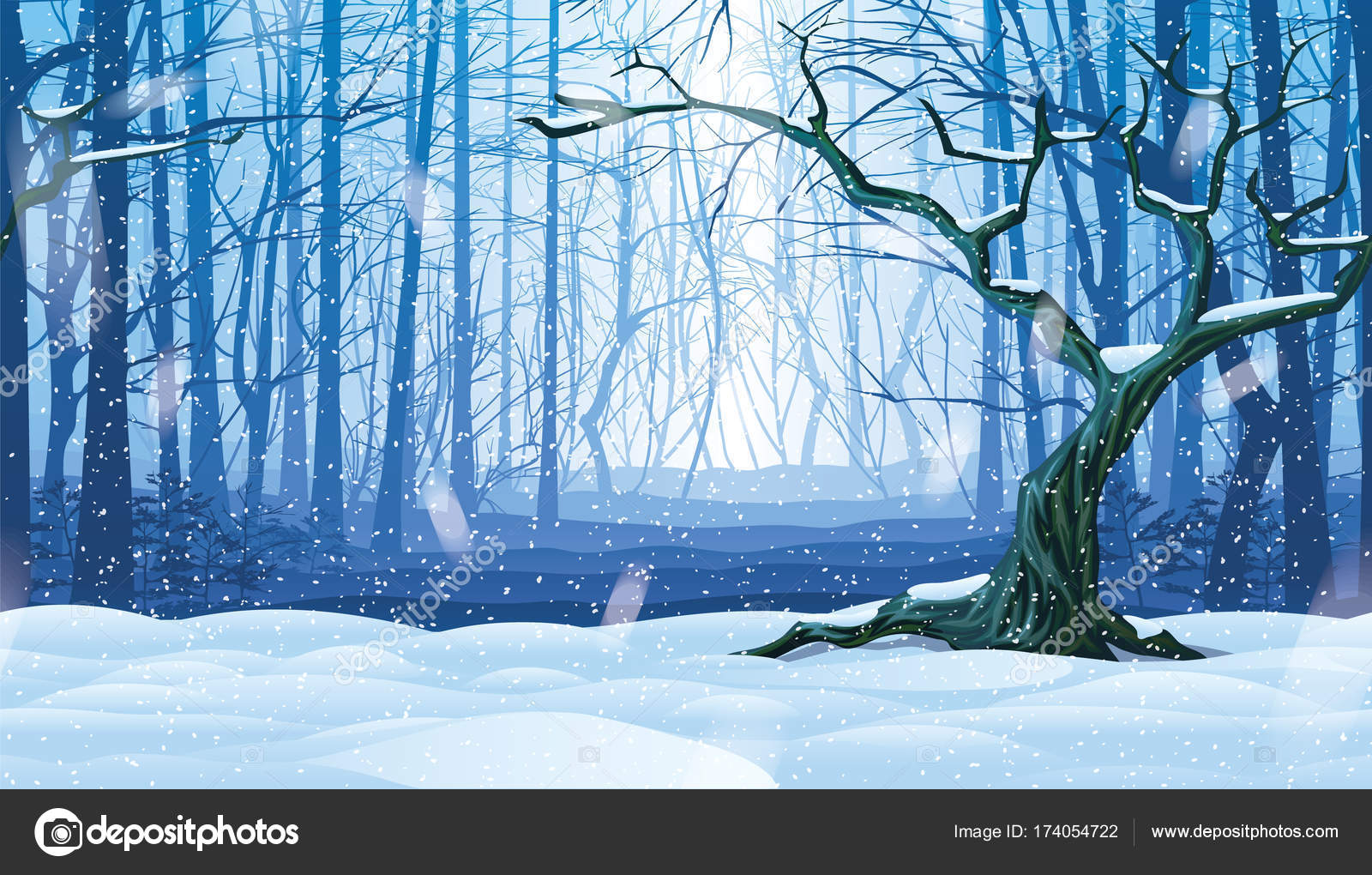 Winter Forest Vector