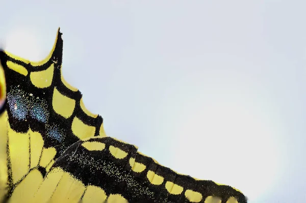 Danny phantom paulina makes her move hermit moth images libres de droit ...