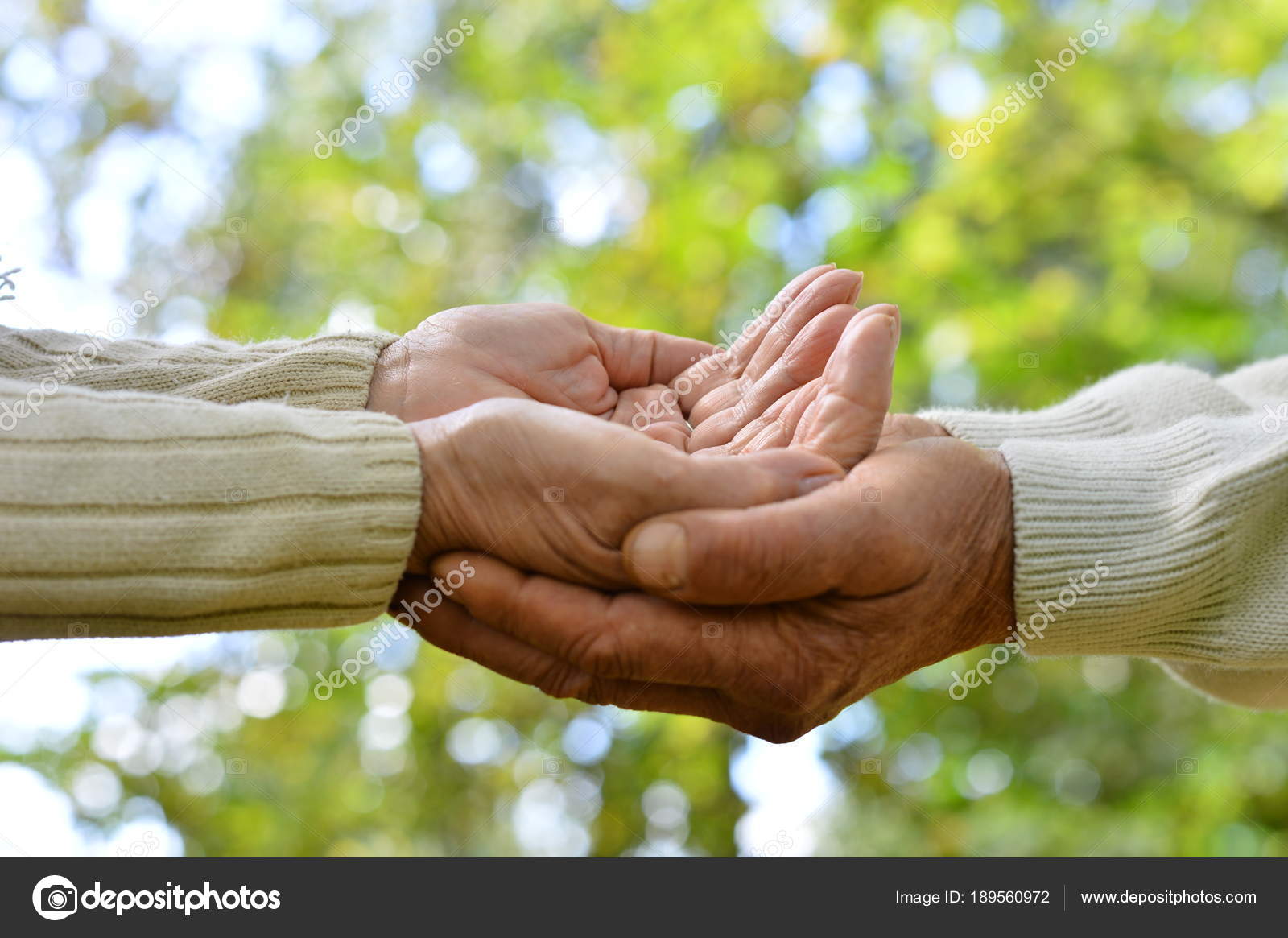 Elderly couple holding hands Stock Photo by ©aletia 189560972