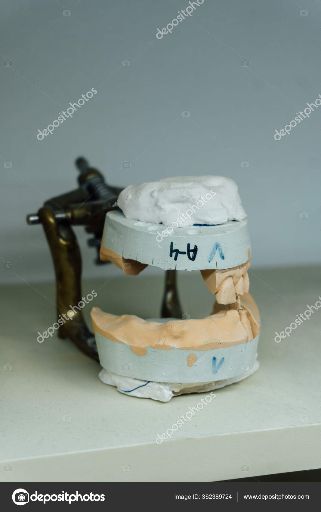 Sample Individual Plaster Jaw Close Dental Dentistry Process Details ...