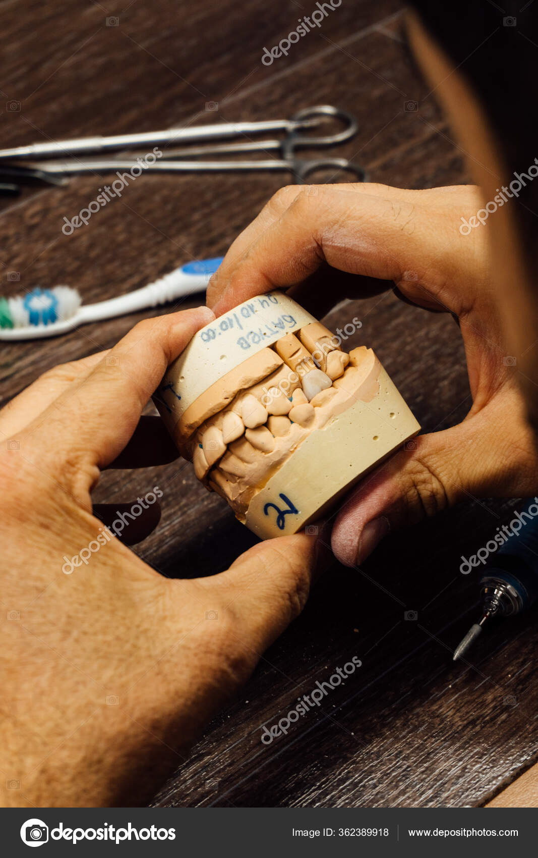 Set Sample Individual Plaster Jaws Close Dental Dentistry Process ...