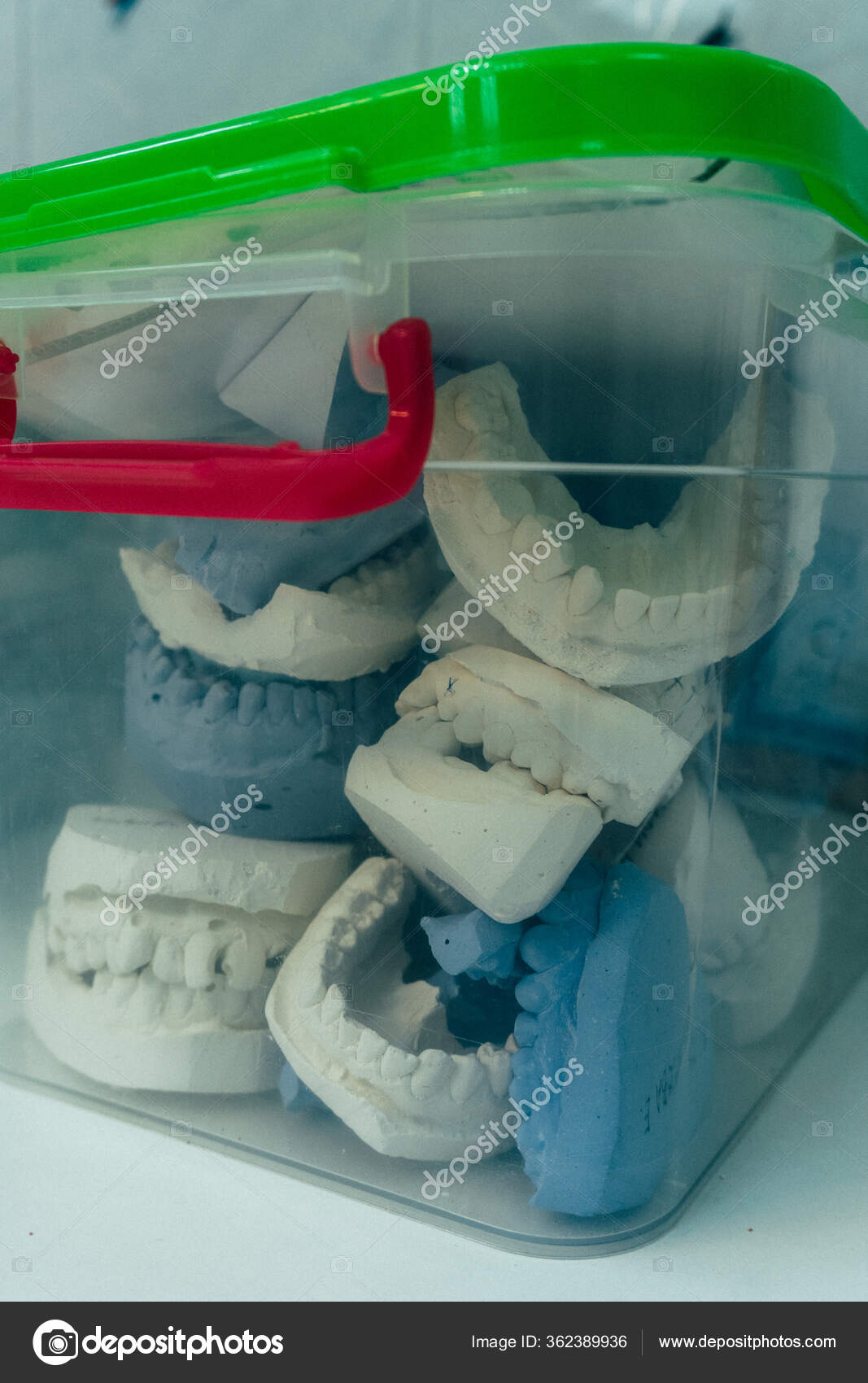 Set Sample Individual Plaster Jaws Close Dental Dentistry Process ...