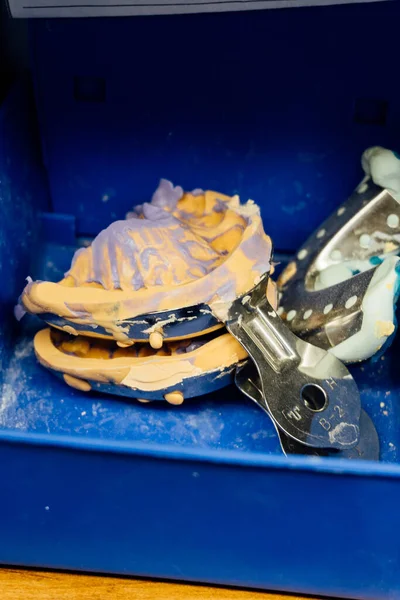 Sample Individual Plaster Jaw Close Dental Dentistry Process Details ...