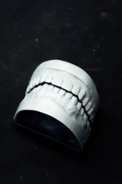 Sample Individual Plaster Jaw Close Dental Dentistry Process Details ...