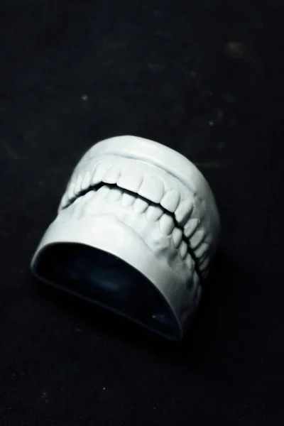 Sample Individual Plaster Jaw Close Dental Dentistry Process Details ...