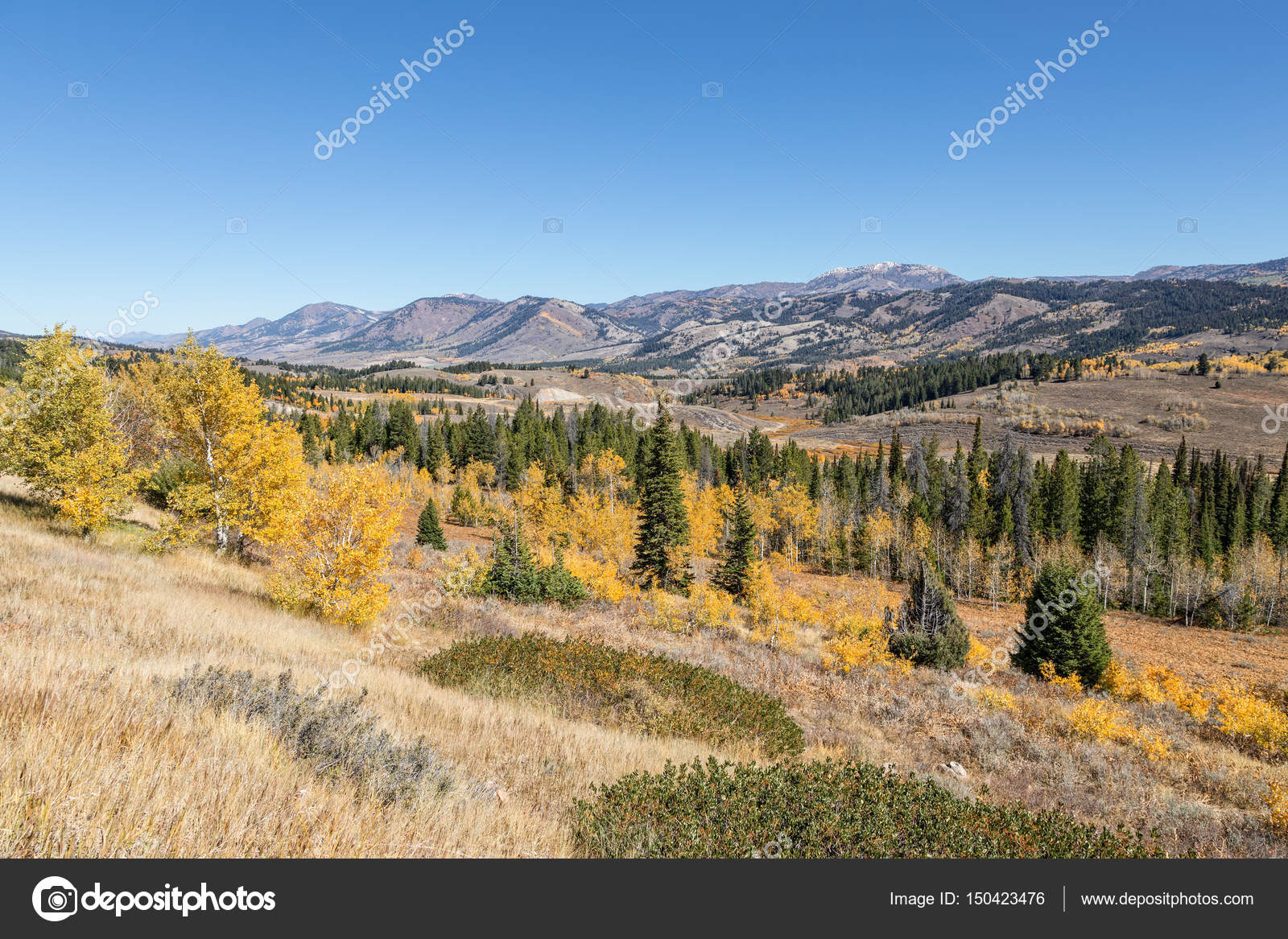 Wyoming Mountain Landscape in Fall — Stock Photo © twildlife #150423476