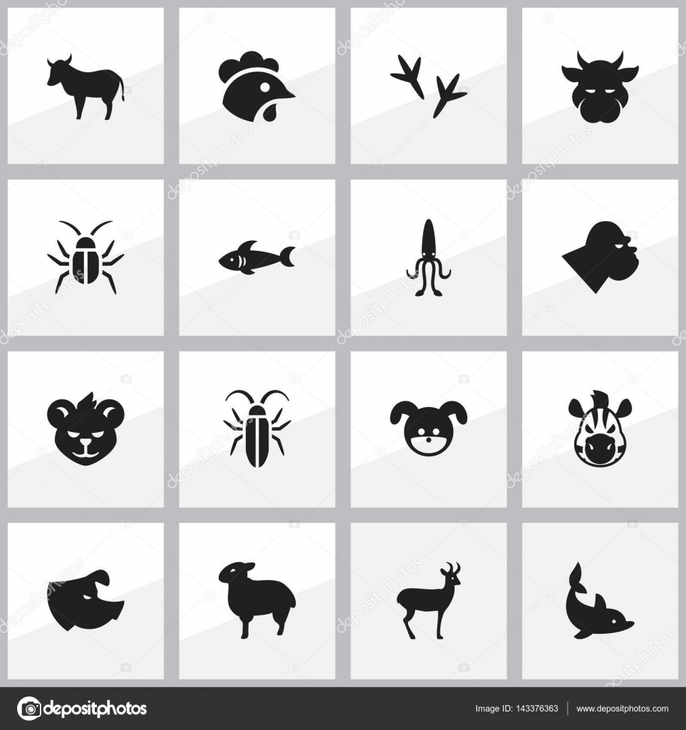 Set Of 16 Editable Zoology Icons. Includes Symbols Such As Footprint ...