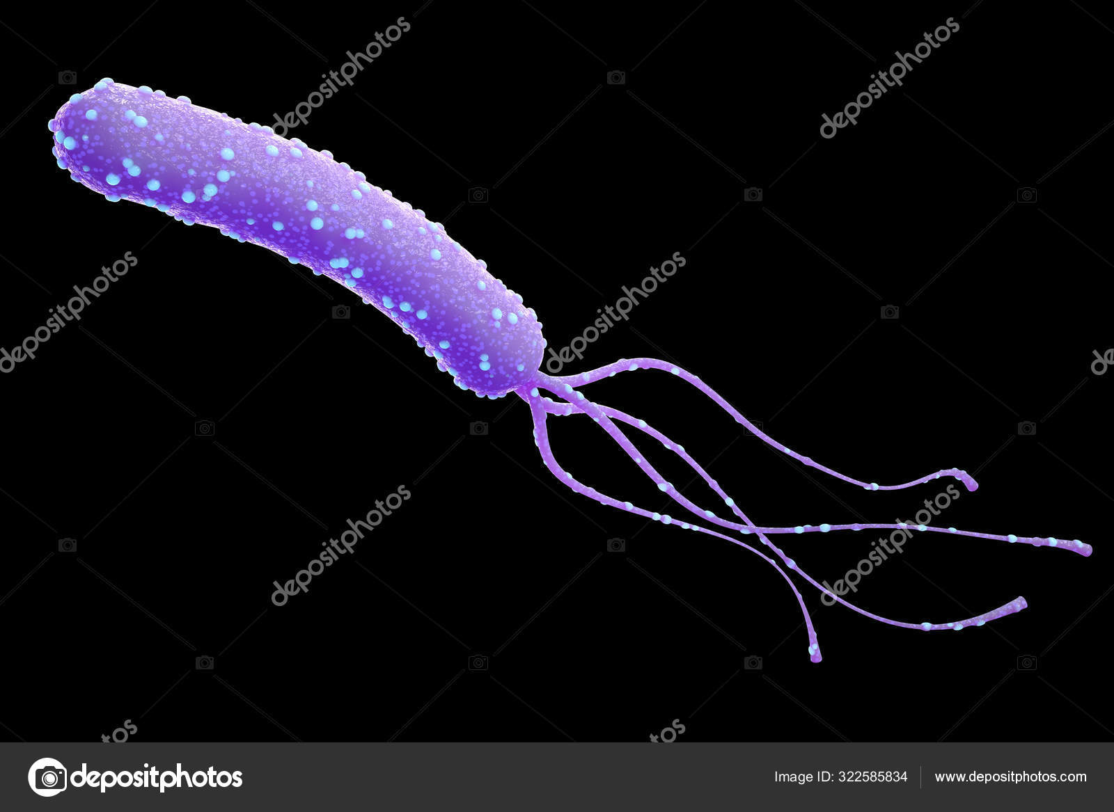 Bacterium, Helicobacter pylori, 3d render. Stock Photo by ©K_E_N 322585834