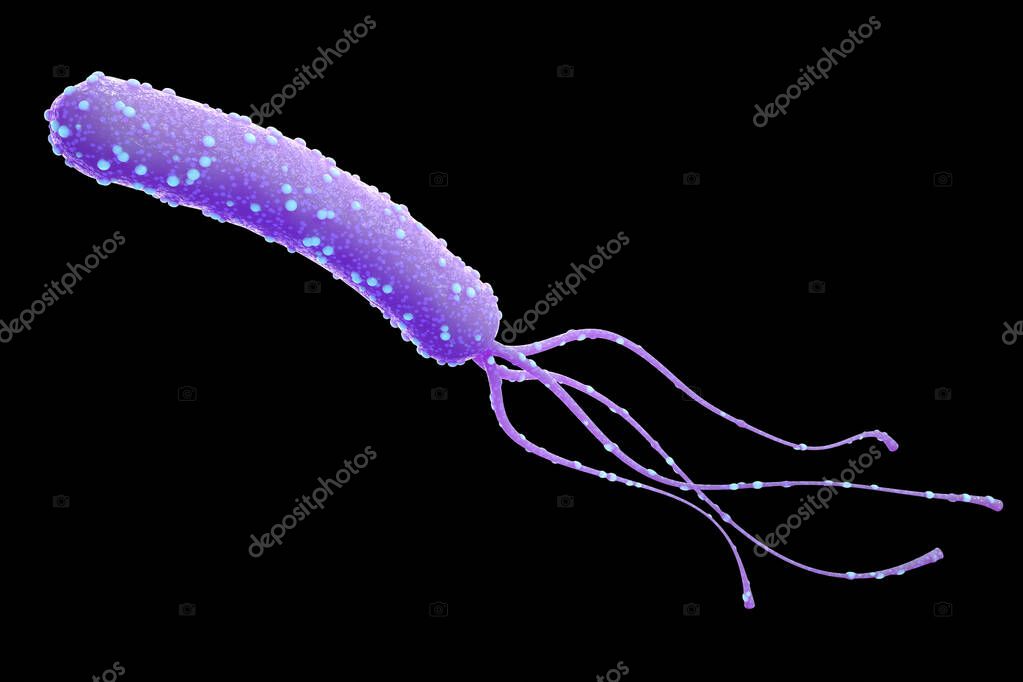Bacterias, Helicobacter pylori, 3d render . — Foto de stock © K_E_N ...