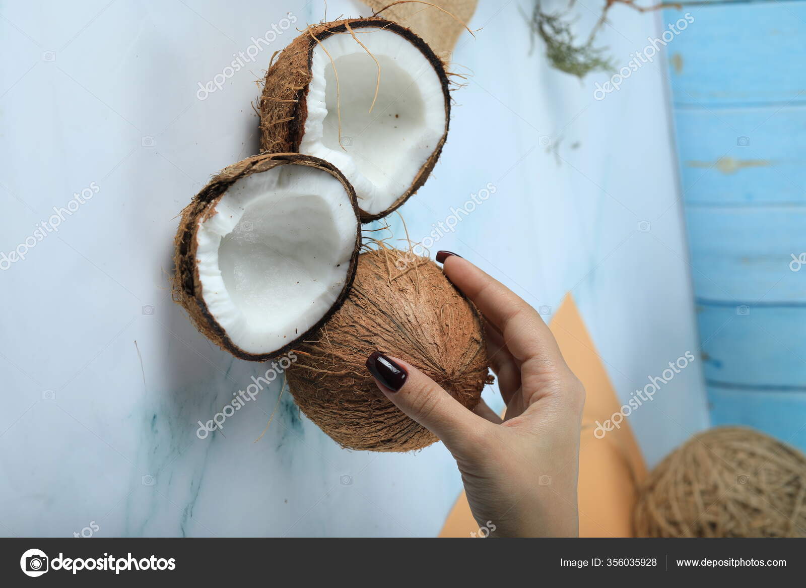 Taking a hairy brown coconut by hand isolated on blue — Stock Photo ...