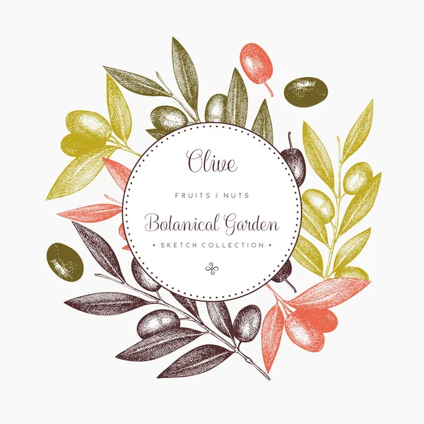 Olive branch wreath template — Stock Vector © geraria #145187577 Olive branch wreath template — Stock Vector © geraria #145187577