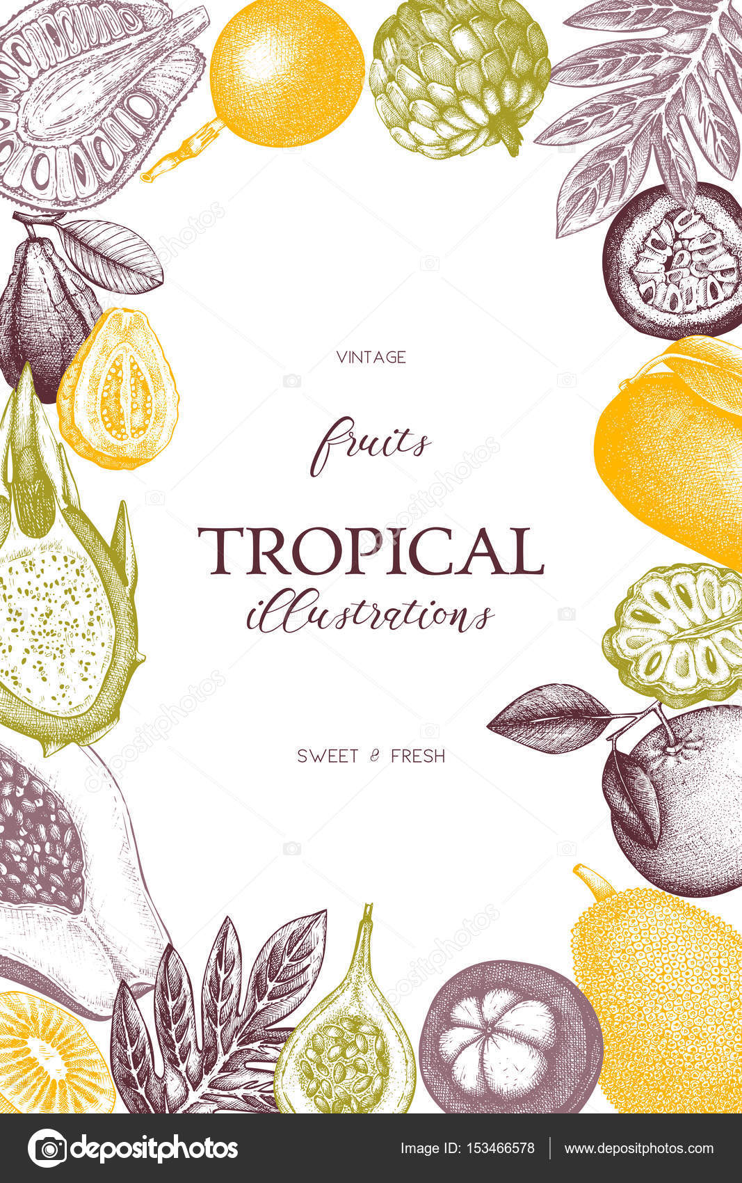 Vector frame with tropical fruits Stock Vector Image by ©geraria #153466578