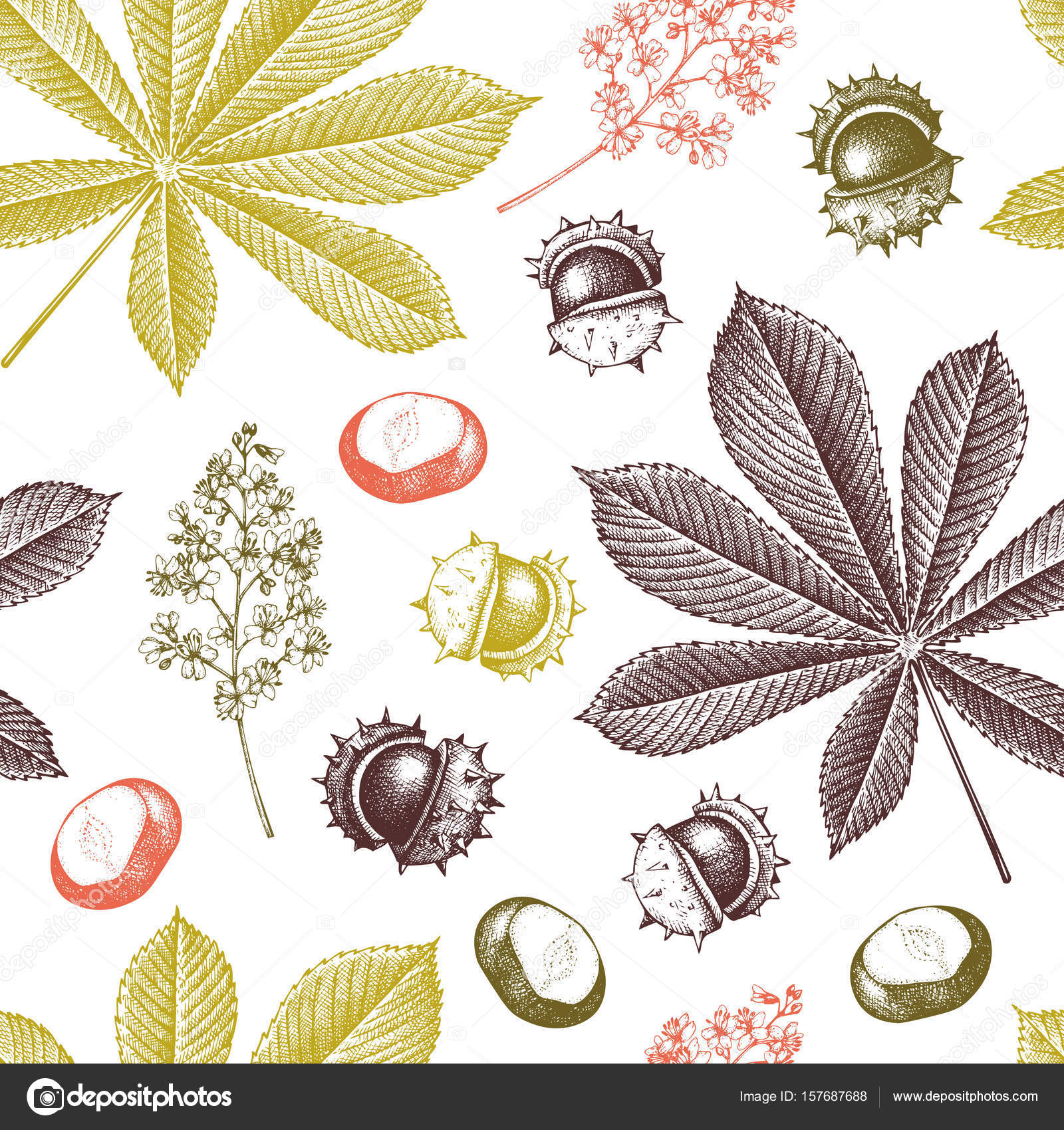 Decorative chestnut pattern Stock Vector Image by ©geraria #157687688