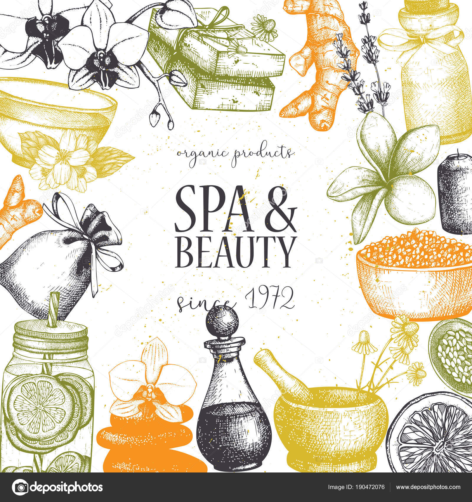 Vintage Frame Color Hand Drawn Spa Beauty Products Vector Illustration ...