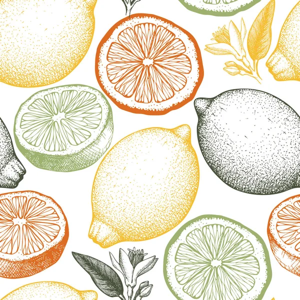 Citrus Seamless Pattern Lemon Background Vector Fruit Illustration Summer Drawing Stock Vector ...