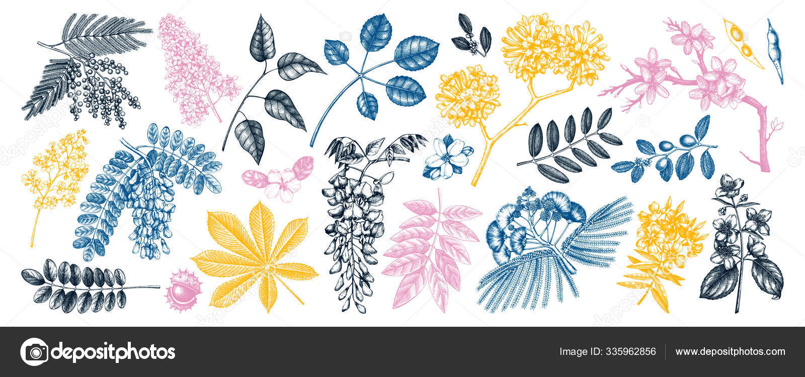 Vector set of spring trees in flowers illustrations in color. Ha Stock ...