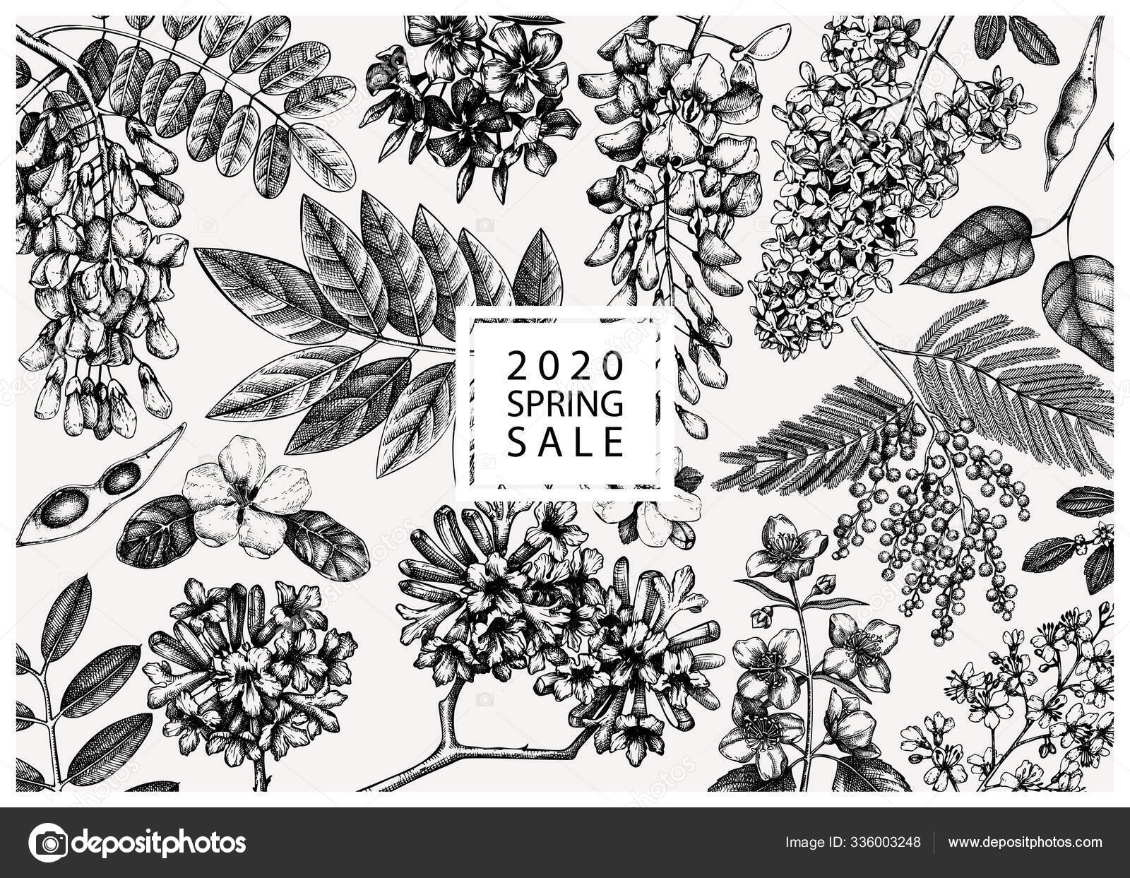 Vector design with spring trees in flowers illustrations. Hand d ⬇ ...