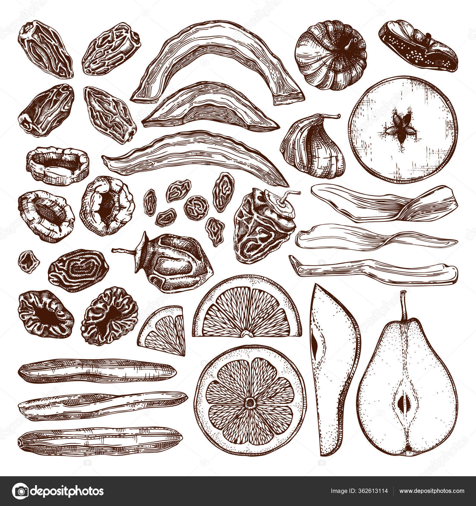 Dried Fruits Berries Collection Hand Drawn Dehydrated Fruits Sketches ...
