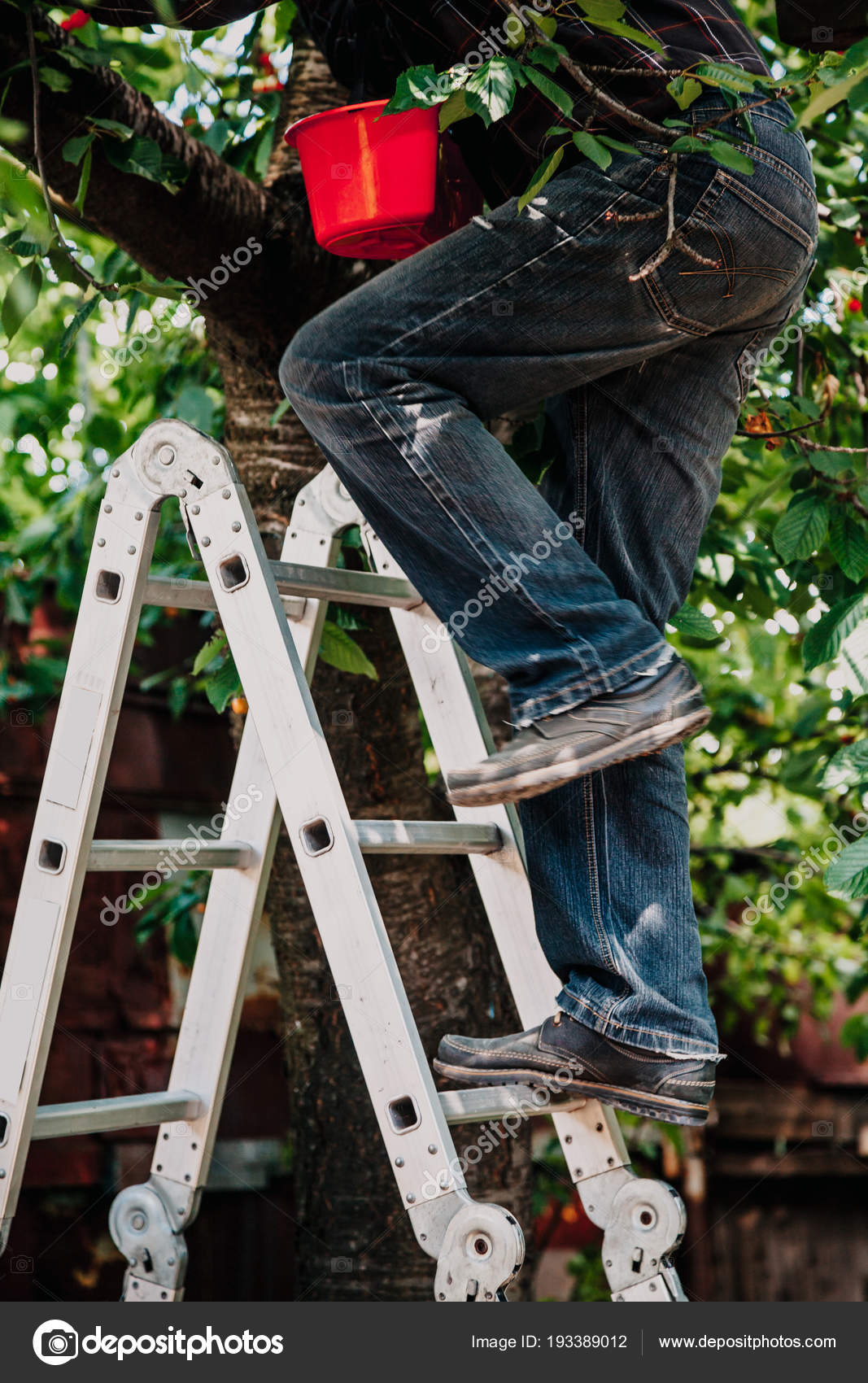 Man in jeans climbs tree from stairs — Stock Photo © glebchik #193389012