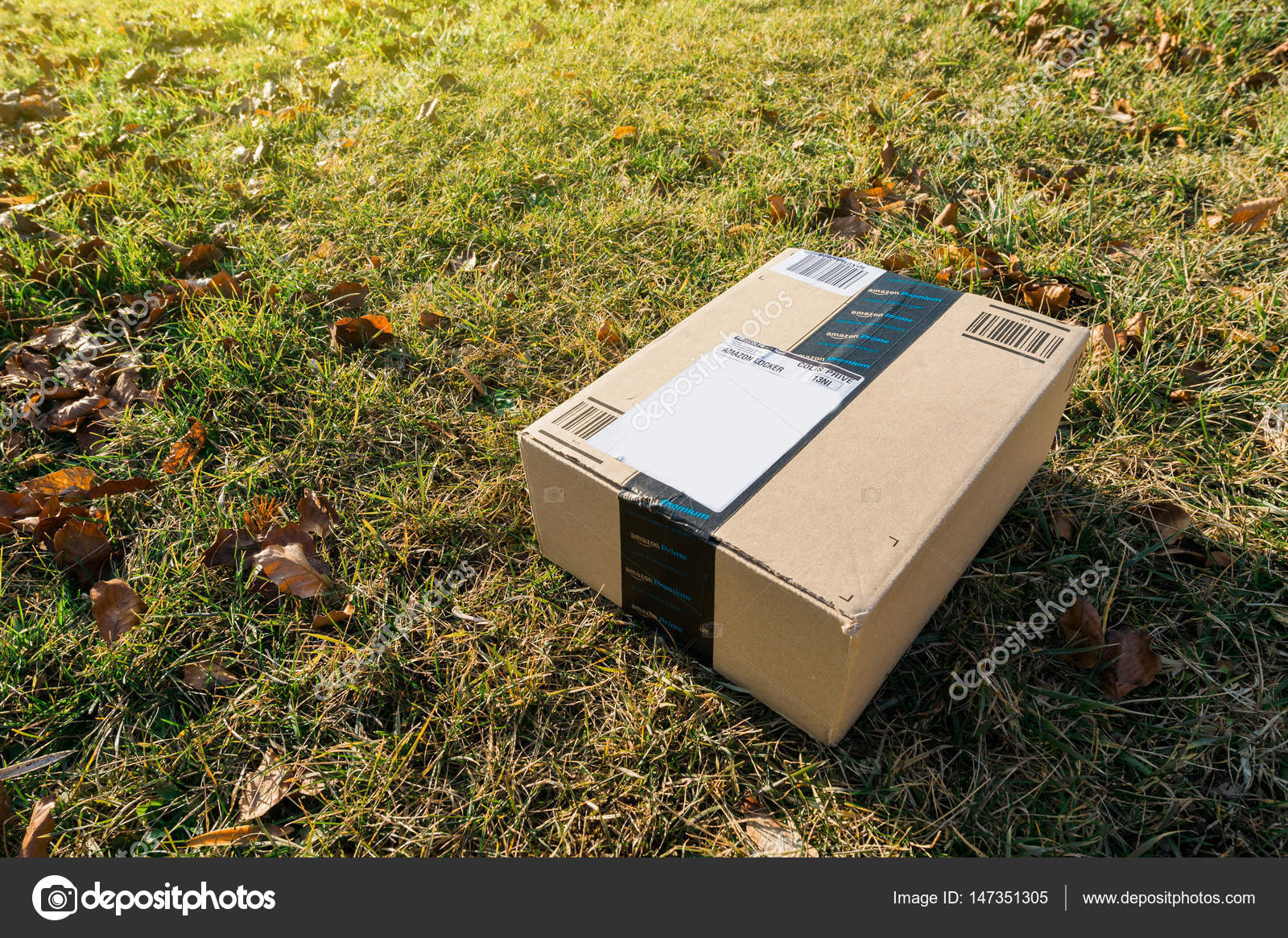 Amazon box in garden grass — Stock Editorial Photo © ifeelstock #147351305