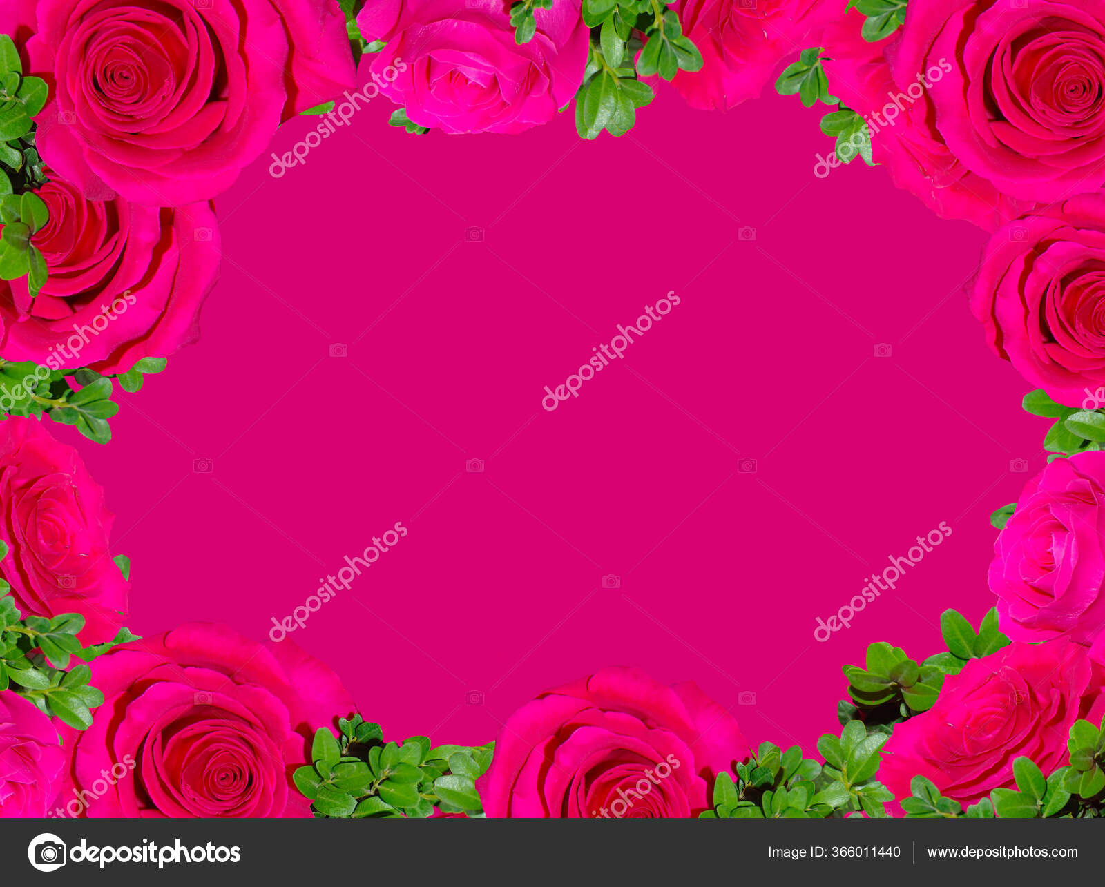 Flower Frame Roses Pink Background Stock Photo by ©trewq7239 366011440