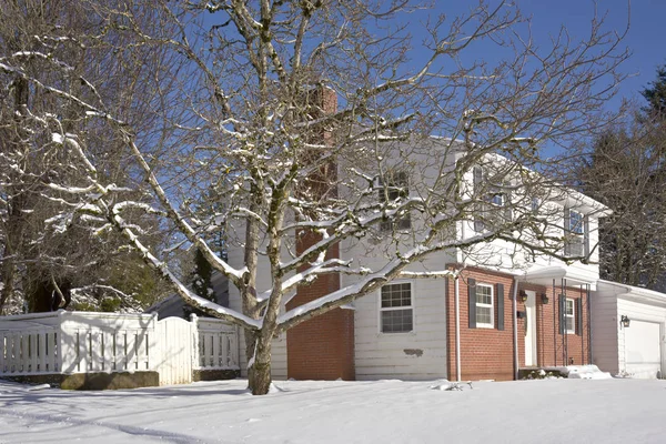 Сосна tres Stock Photos, Royalty Free Сосна tres Images | Depositphotos