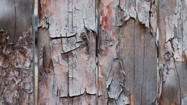 Old gray fence boards wood texture Stock Photo by ©maxximmm1 15801501