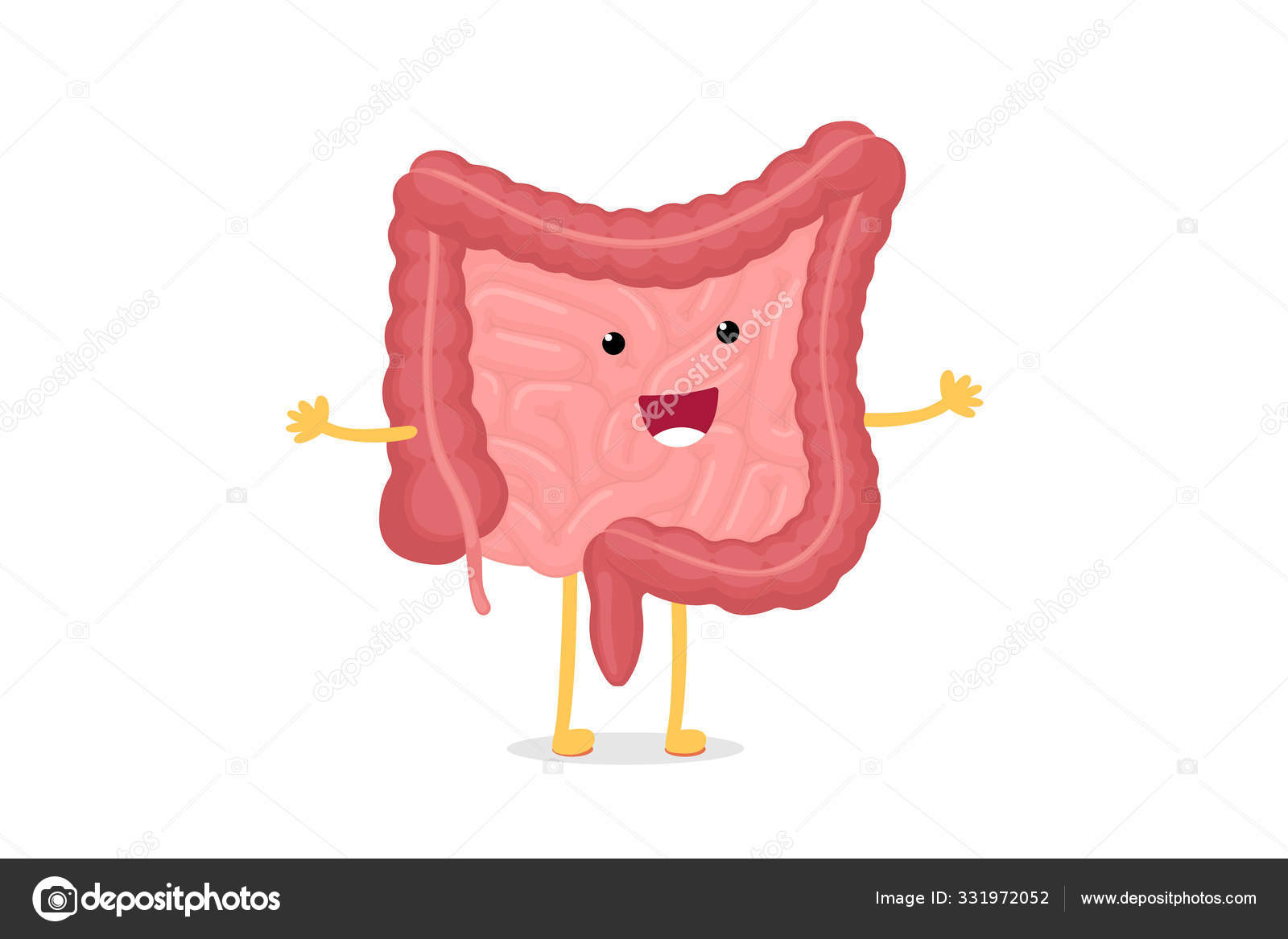 Lindo dibujo animado intestinos sanos personaje sonriente. Cavidad ...