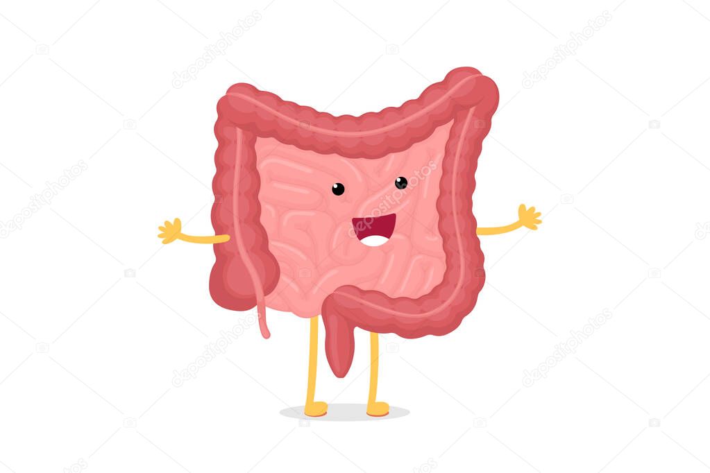 Cute cartoon healthy intestines smiley character. Abdominal cavity ...