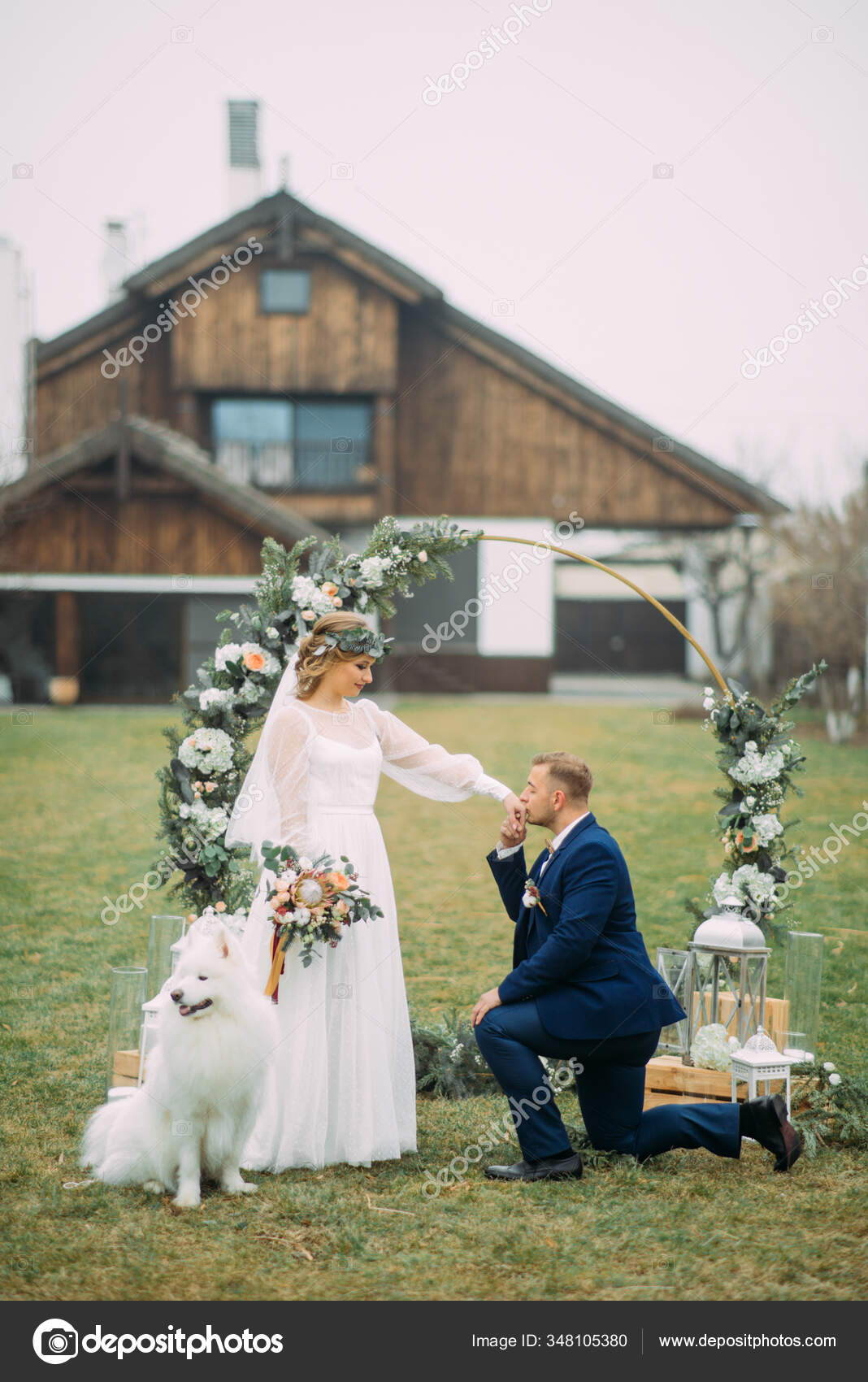 Groom Stands One Knee Front His Bride Next Samoyed Dog Stock Photo by ...