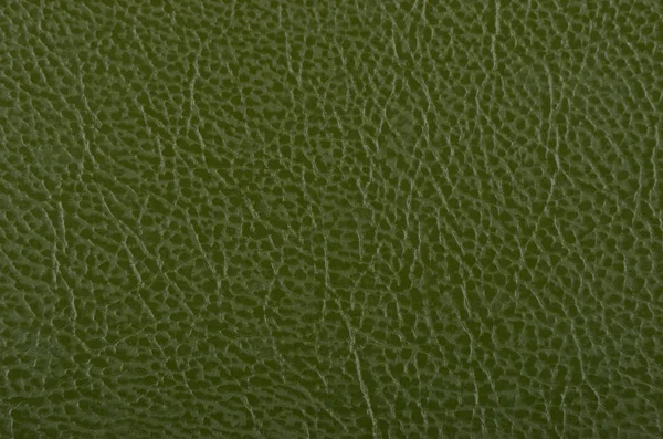 Green leather book Stock Photos, Royalty Free Green leather book Images ...