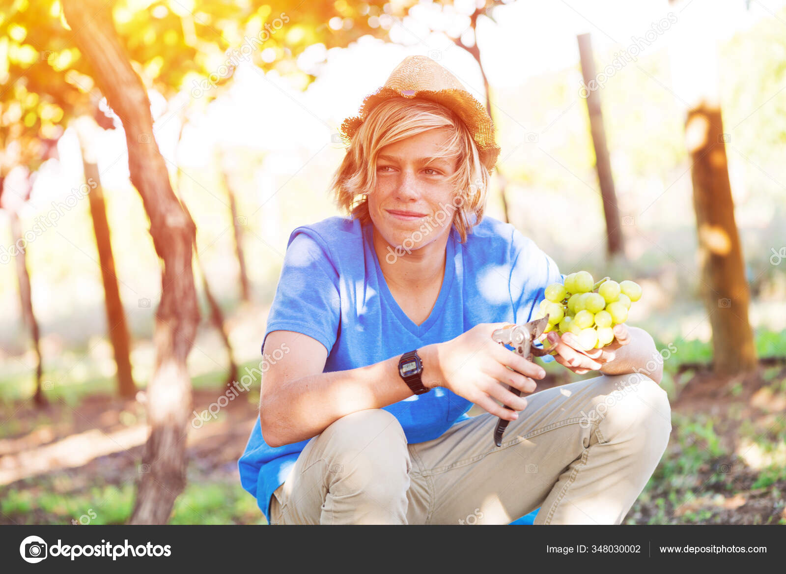 Băiat Pălărie Recoltarea Strugurilor Coapte Grădină Tip Care Ţine ...