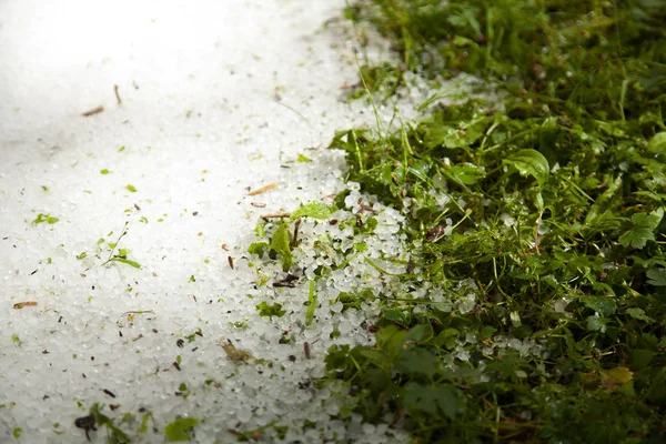 Anomaly Stock Photos, Royalty Free Anomaly Images | Depositphotos®