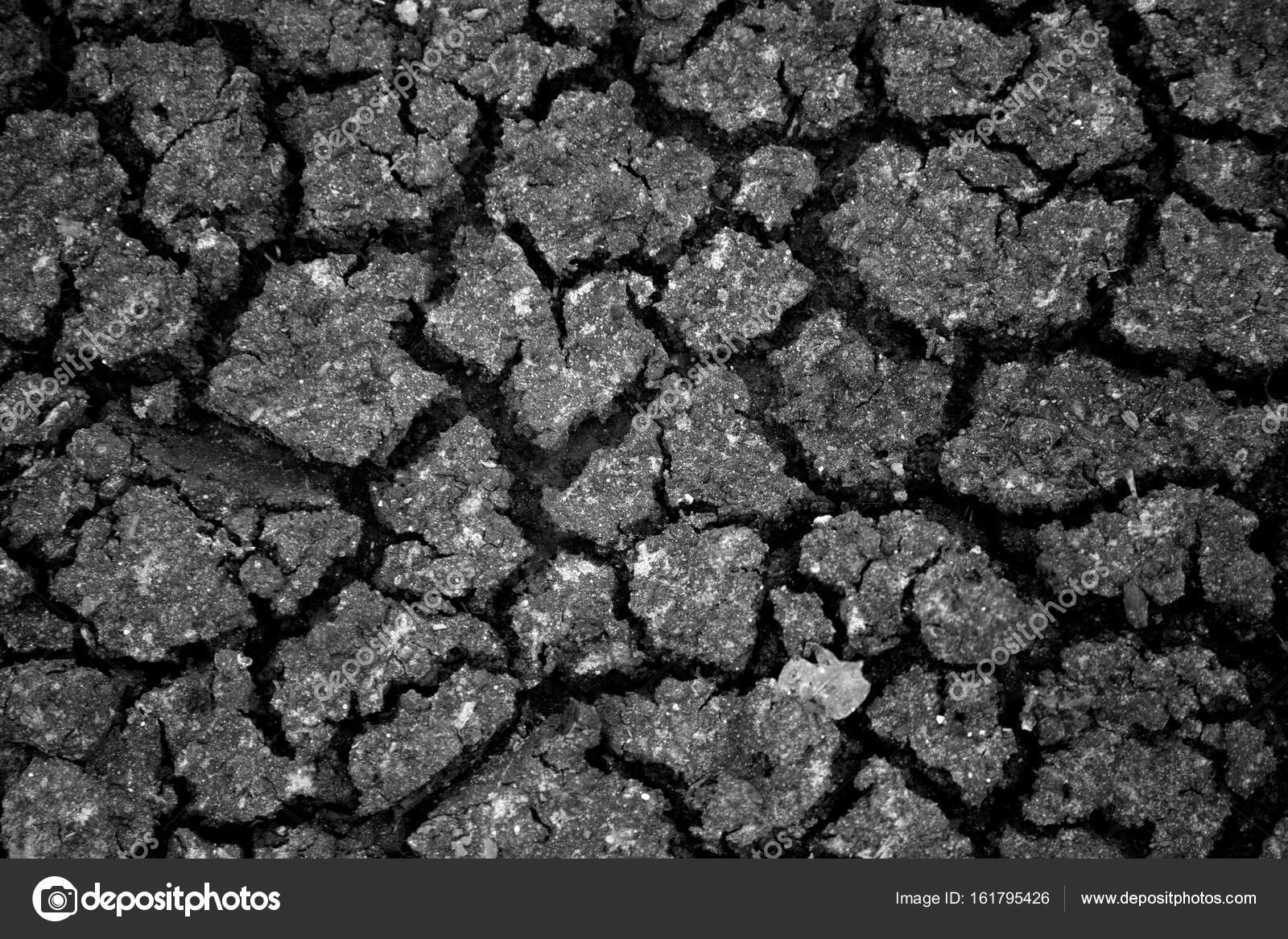 Dry dead ground with legs top view Stock Photo by ©agnadevi 161795426