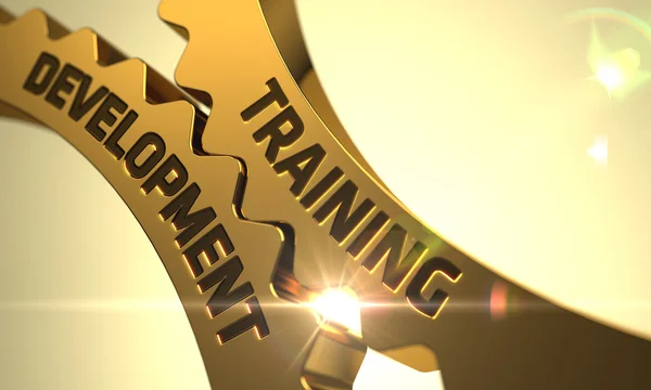 Training development Stock Photos, Royalty Free Training development Images | Depositphotos