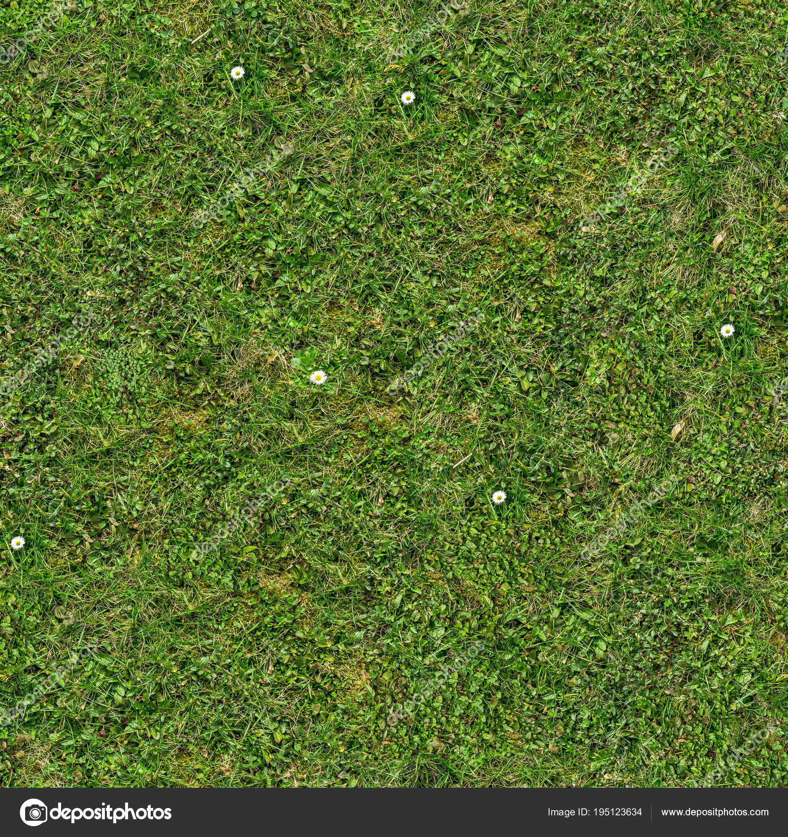 Green Grass. Seamless Tileable Texture. Stock Photo by ©tashatuvango ...