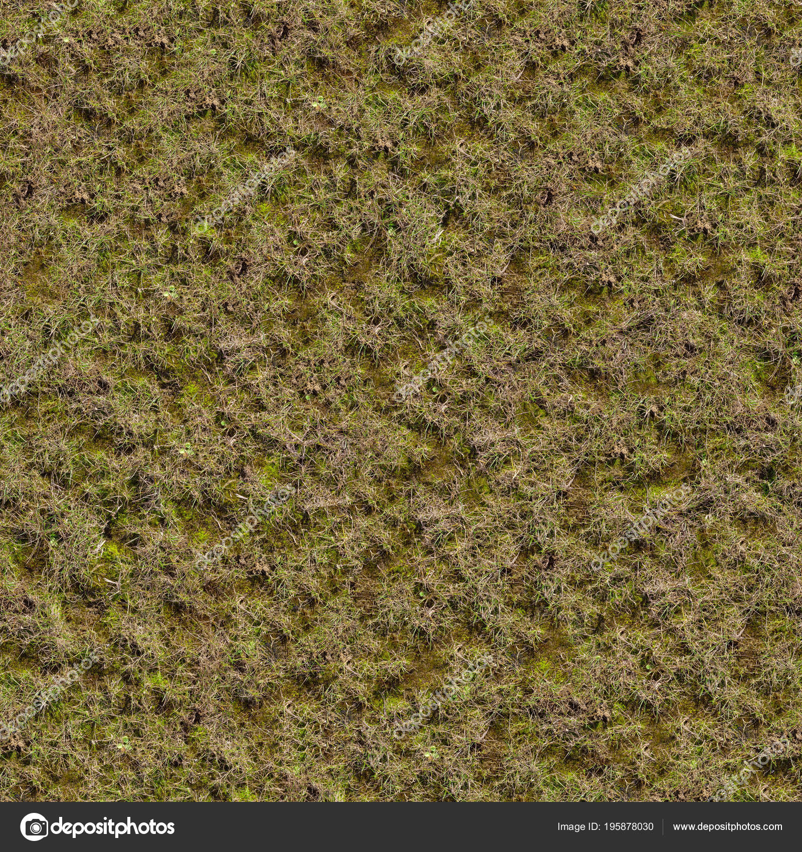 Seamless Moss Texture