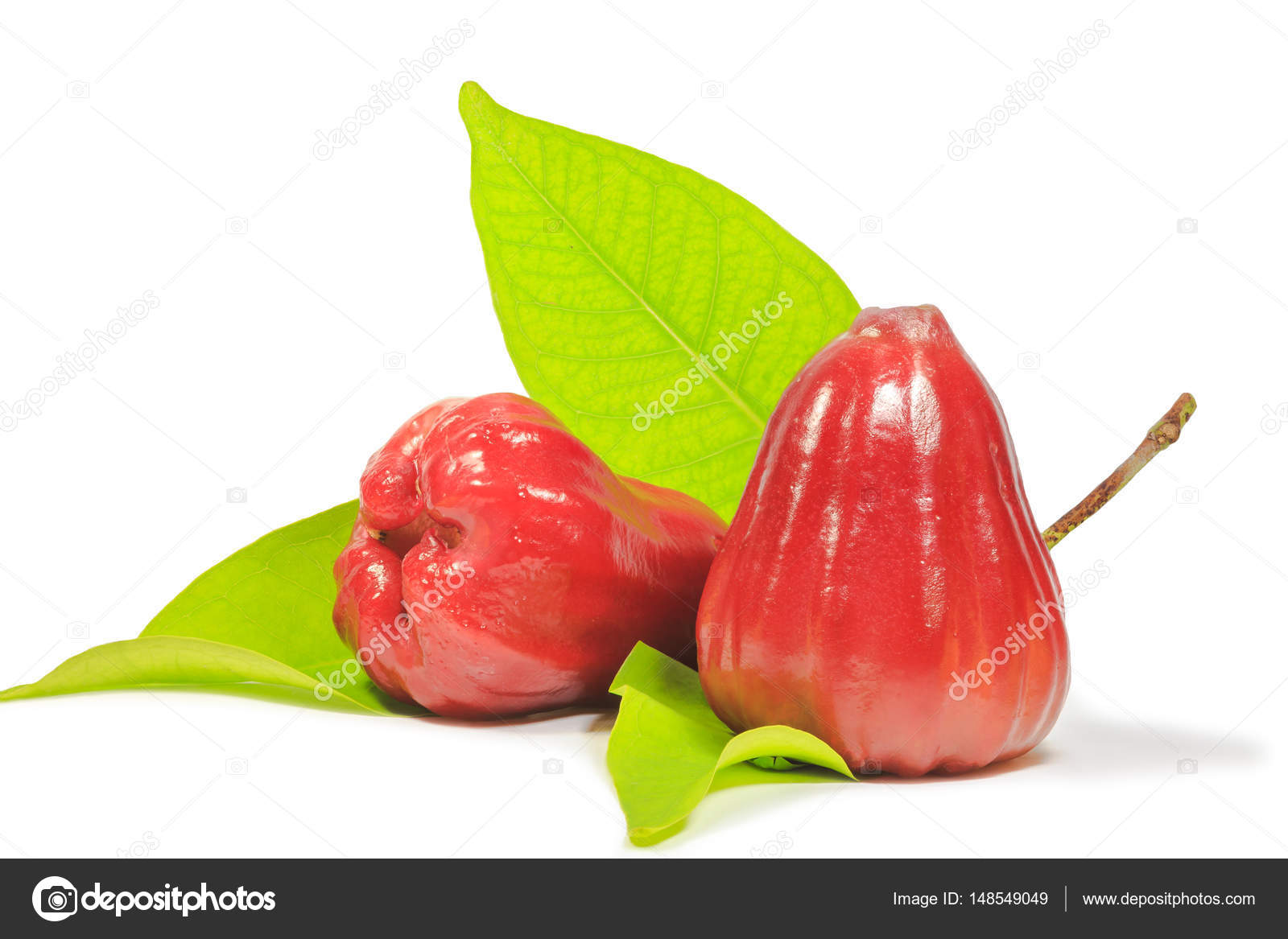 Red rose apple with leaf Stock Photo by ©takepicsforfun 148549049