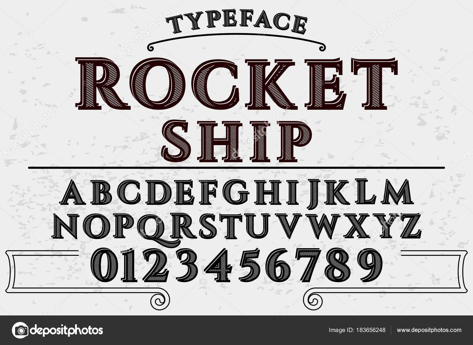 Font Hand Drawn Vector Script Ornaments Calligraphic Alphabet Typeface ...