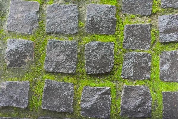 Background, texture, stone vintage square stones with light green mossy ...
