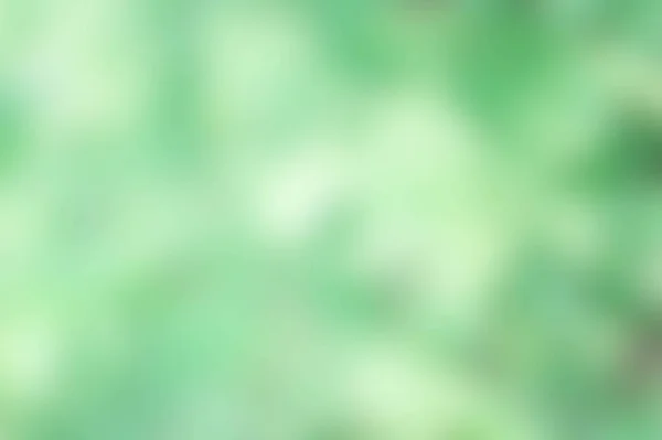 Abstract Color Blur Mix Green White Color Background Wallpaper Nature ...