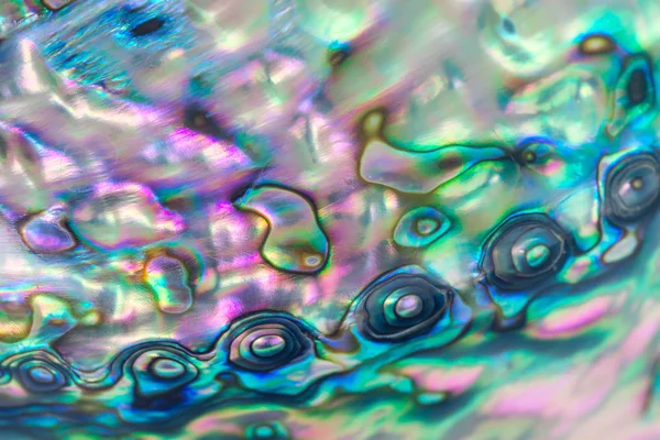 Close up shot of blue abalone pearl shell. Stock Photo by ©18042011 ...