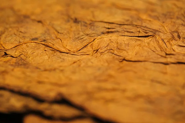 Tobacco sheet Stock Photos, Royalty Free Tobacco sheet Images ...