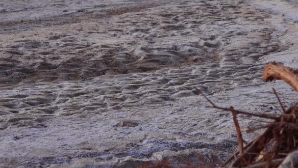 Cracked Red Clay White Salt Surface Dried Riverbed Desert New ⬇ Video ...